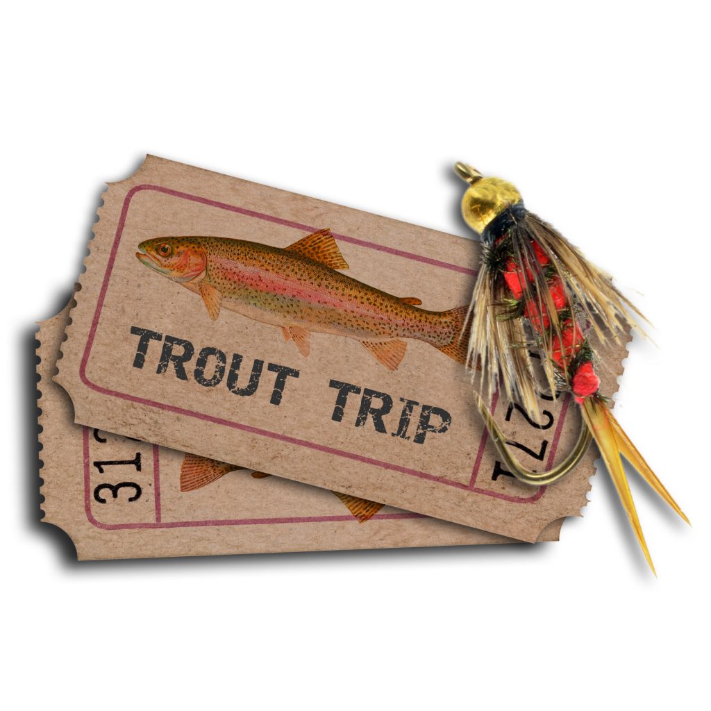 Home - Fish On! Guided Tours